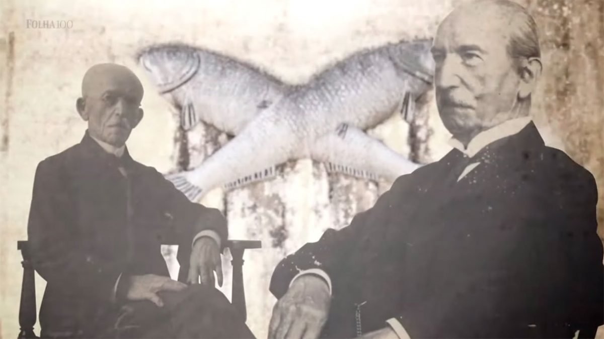 Hering é a primeira empresa centenária a ter a história contada em ...